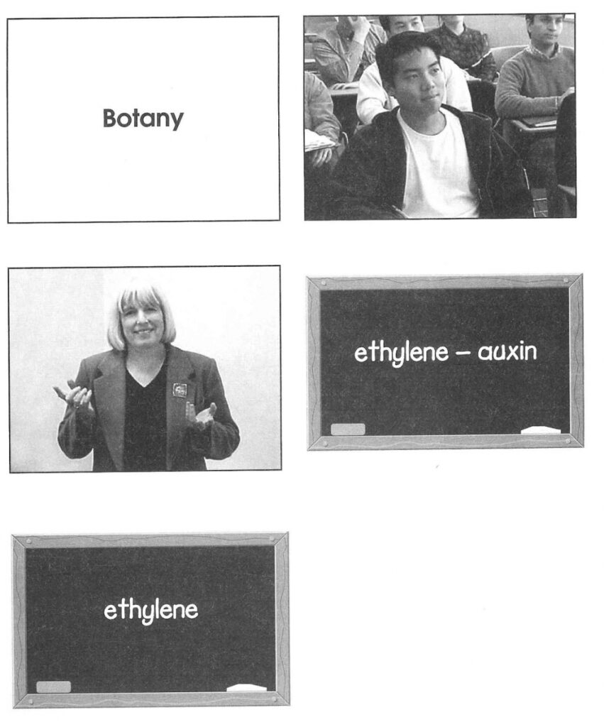 TOEFL IBT Listening Practice Test 11 From Delta's Key TOEFL Test - TV Acres