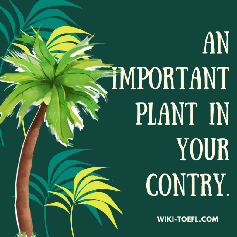 Toefl Writing What Plant Is Important To You Or People In Your Country toefl-writing-what-plant-is-important-to-you-or-people-in-your-country