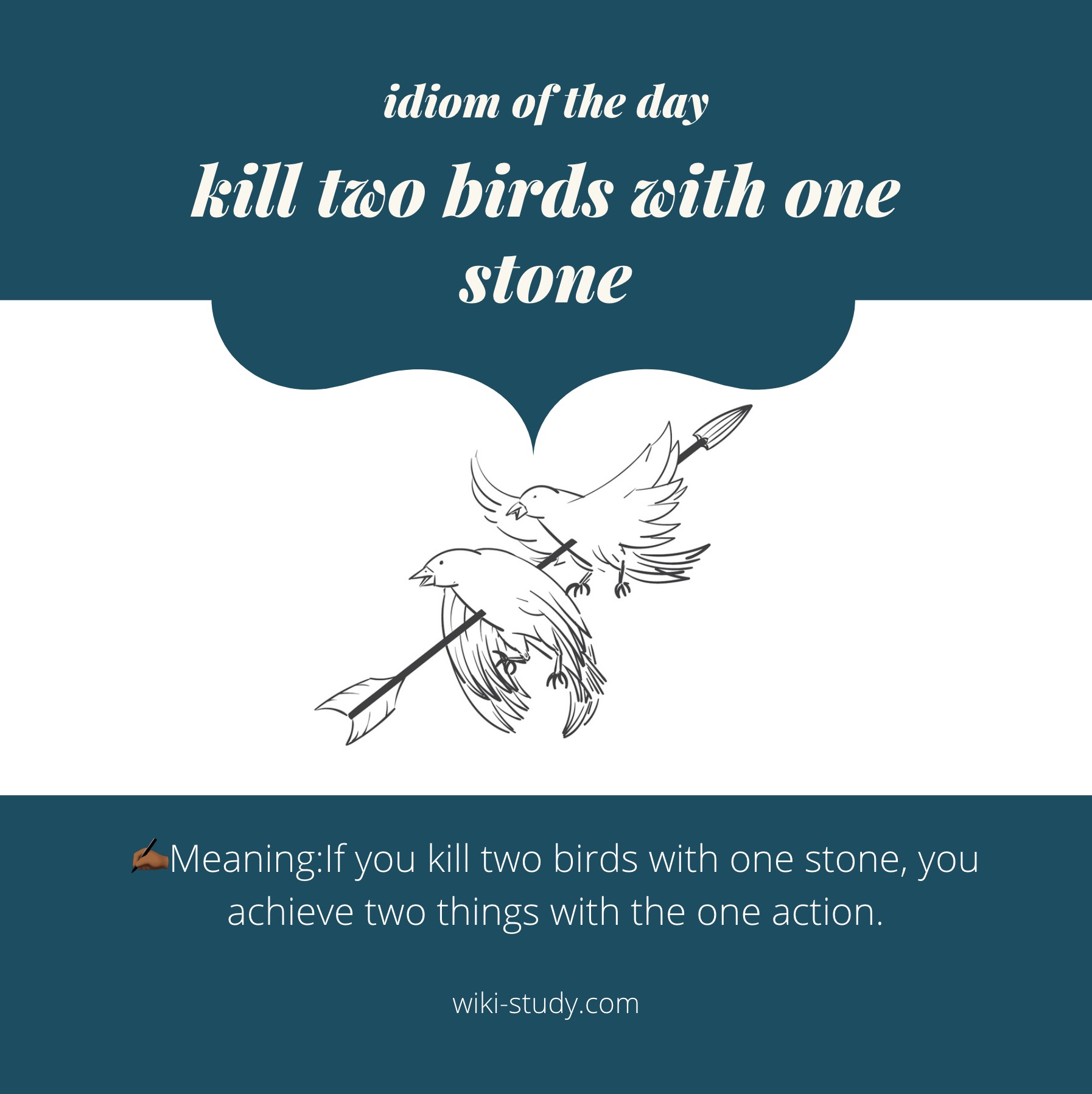 Idiom of the day: kill two birds with one stone - TV Acres